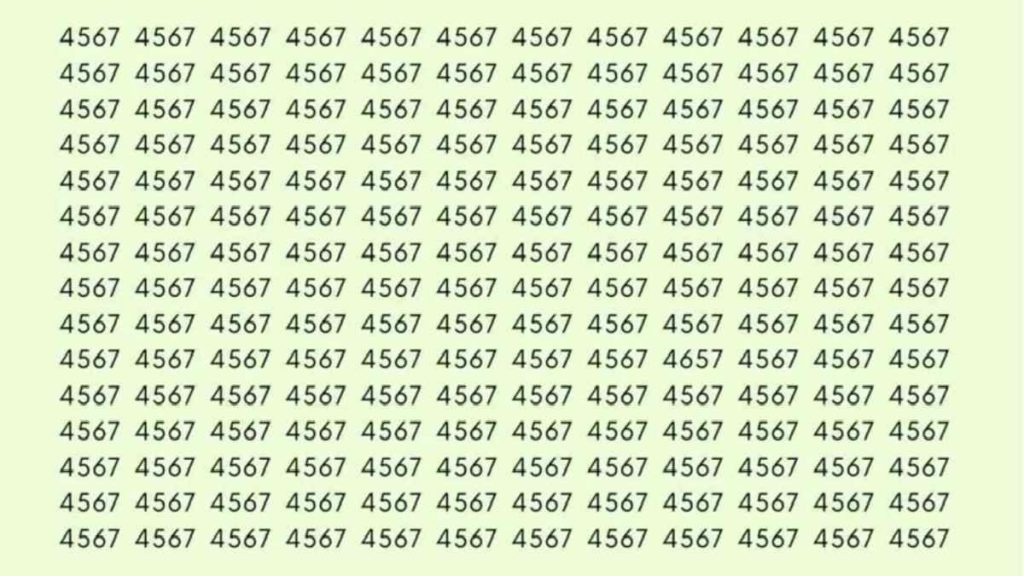 Jeu d'observation : Seuls les yeux d'aigle peuvent repérer le nombre ...